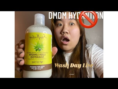 DMDM Hydantoin FREE shampoo | Shea Moisture Lush Length Review