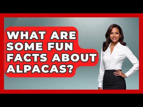 What Are Some Fun Facts About Alpacas? - The Wild Life Explorer