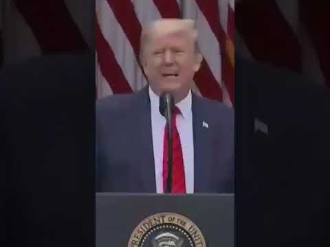 Reporter Uses Race Card Against Trump