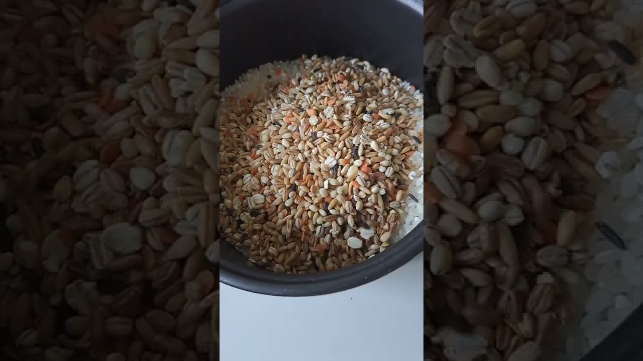 HOW TO MAKE KOREAN MULTIGRAIN RICE  #studyabroad #korean #koreanfood #weightloss  #multigrainrice