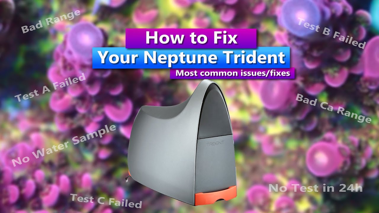 Fix your Neptune Trident - Common Errors/fixes