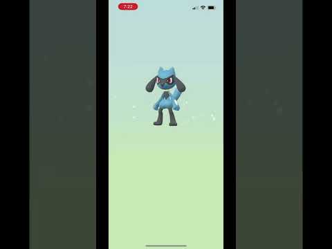 Hatching a 98% Riolu in Pokémon Go