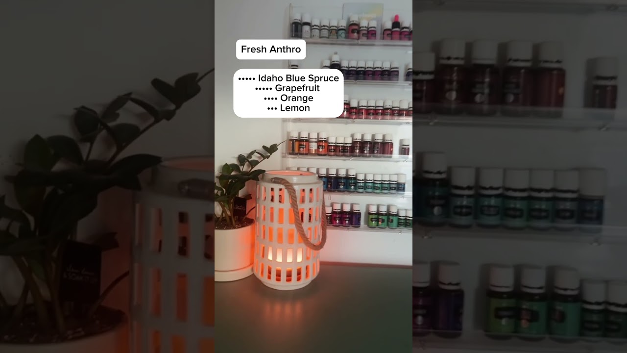 Fresh Anthro Diffuser blend