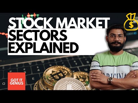 HOW TO DIVERSIFY PORTFOLIO? SECTORS OF STOCK MARKET| BASICS FOR BEGINNERS IN HINDI | Got it genius