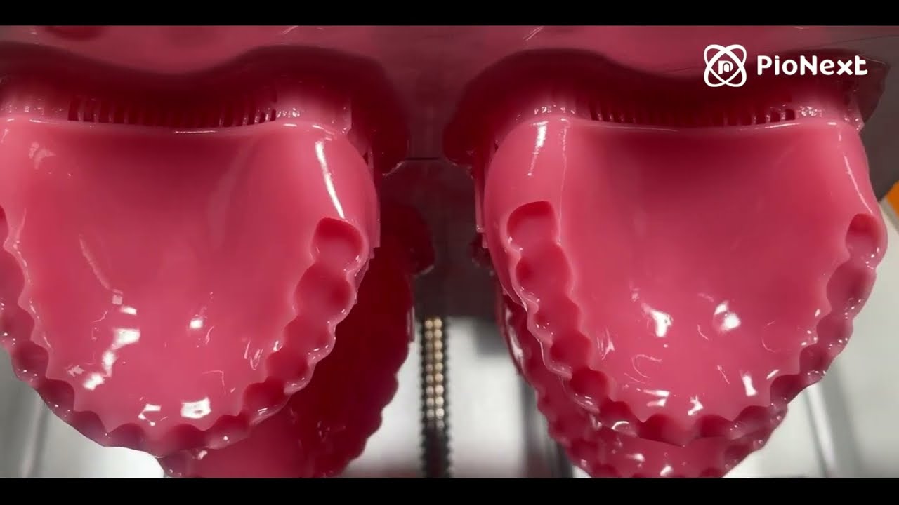 New launch-PioNext denture base resin
