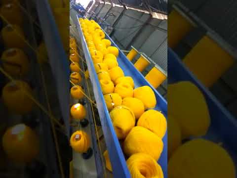 Ball Winding Machine at Best Price in India