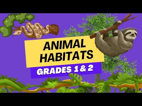Animal Habitats for Kids
