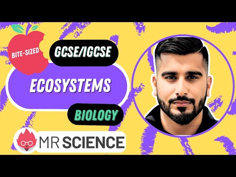 Ecosystems |Habitats | Populations | Communities| Bite-sized |GCSE | IGCSE Biology |Mr Science in 8K