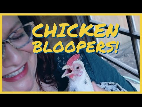 Chickenlandia Blooper Reel | Funny Backyard Chickens Video!