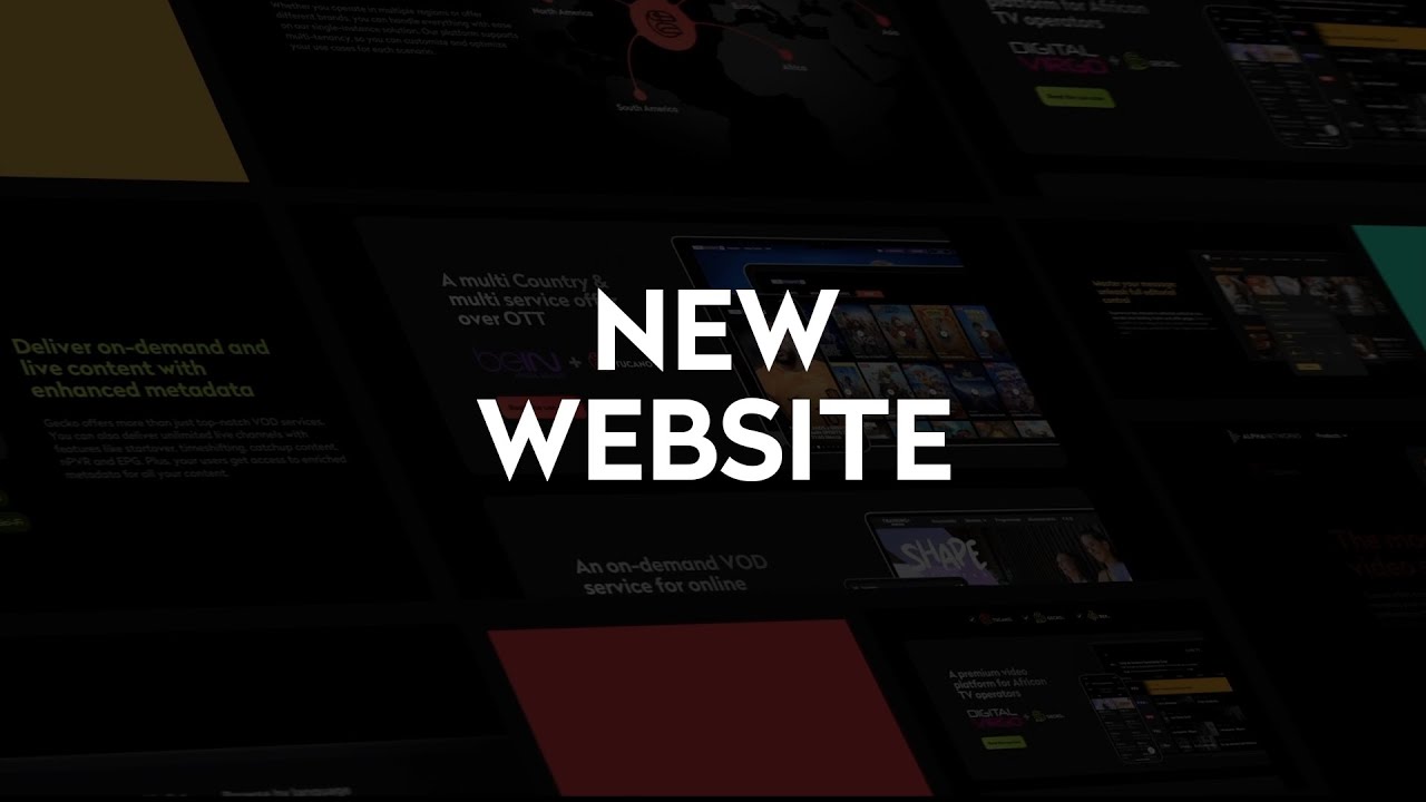 Alpha Networks Website Revamp: Elevating Your Digital Experience!