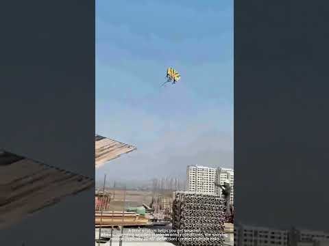 The process of lifting wooden planks by crane is shared