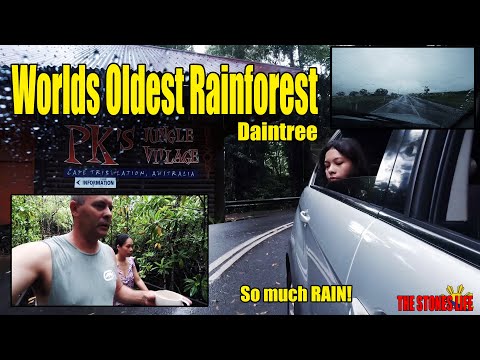 Daintree Rain-trip – The Worlds Oldest Rainforest – The Daintree ...