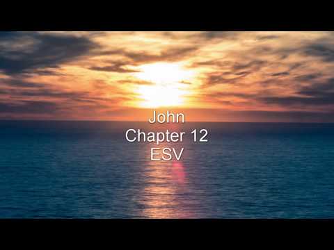John - Chapter 12 (ESV)