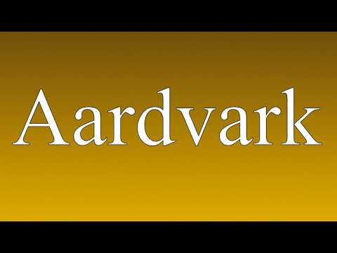 Aardvark - Meaning and How To Pronounce