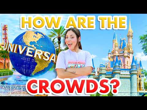 Universal VS Disney World -- How Are The Crowds?