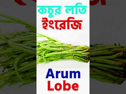 Daily use word meaning english to bangla-01 #english #gk #spokenenglish