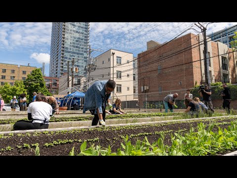 Addressing Mental Health and Community Wellness Through Urban Gardening