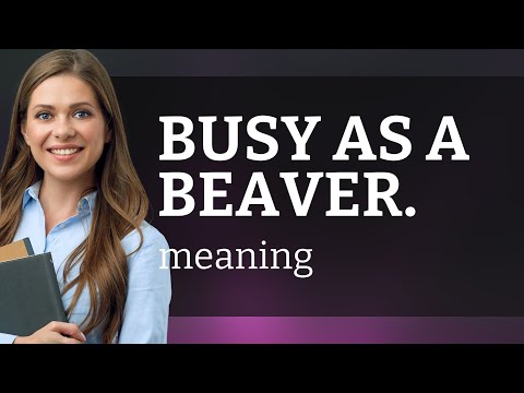 Busy as a Beaver: Understanding English Idioms