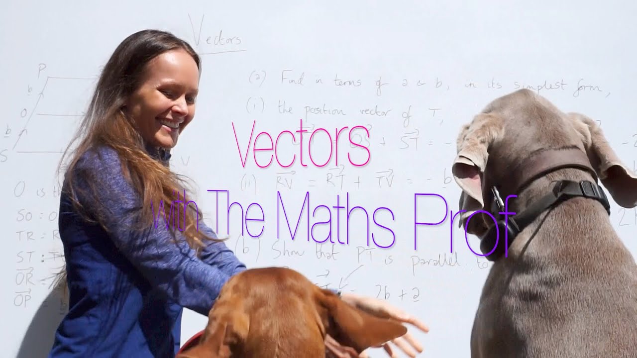 The Maths Prof: Vectors (part 2)