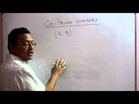 Number System Coprime Numbers