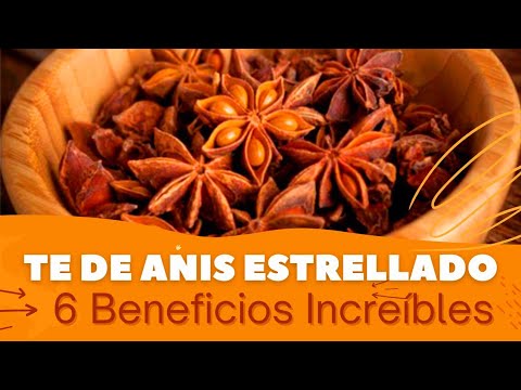 te de anis BENEFICIOS Y PROPIEDADES
