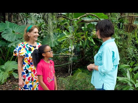 A Day With A Botanist | KidVision Mission Preview