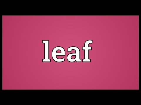 Leaf Meaning