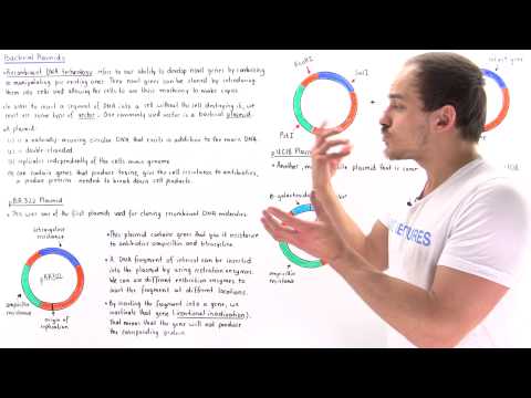 Plasmids and Recombinant DNA Technology