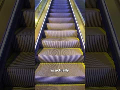 Why Escalator Steps Have Grooves π― (important)