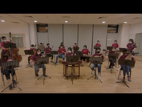 细水长流 Xi Shui Chang Liu | 新科大华乐团 SUTDCO|2021 song cover