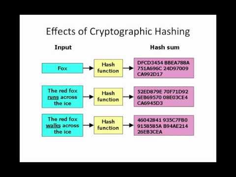 Computer Networks Lecture 23