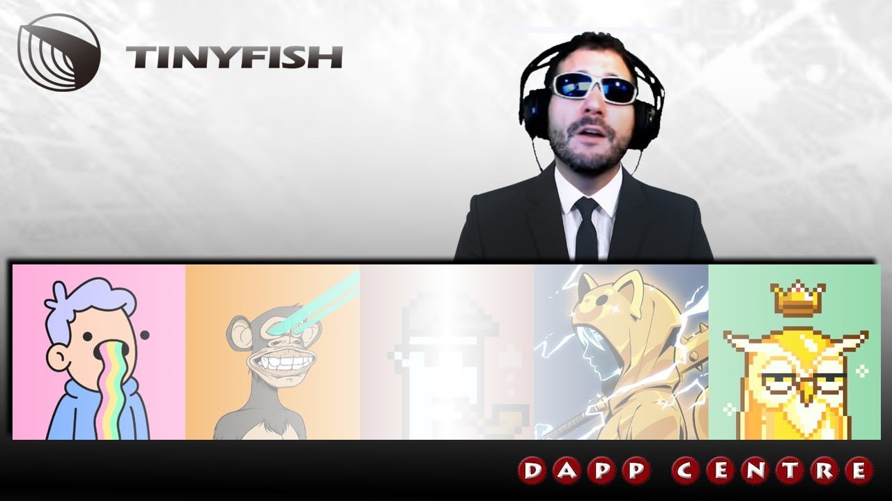 TINYFISH.IO | WIN A BLUECHIP NFT FOR 0.01 ETH | NFT RAFFLE BECOME AN NFT WHALE!