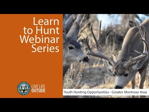 Youth Hunting Opportunities - Greater Montrose