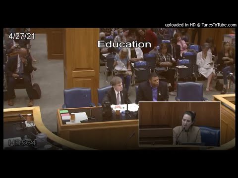 Education Committee Chair's Comments Lead to Calls for Removal (Full)
