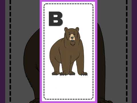 B letter words for kindergarten | Words that start with Letter B