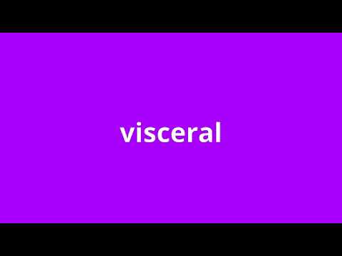 what is the meaning of visceral