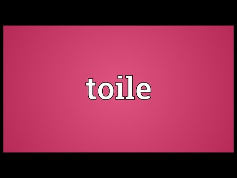 Toile Meaning