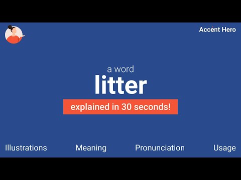 LITTER - Meaning and Pronunciation