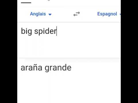 Araña Grande Tiktok Google Translate meme