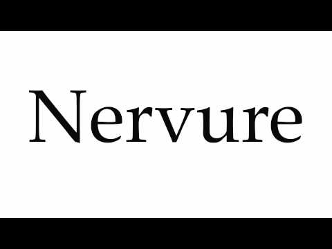 How to Pronounce Nervure