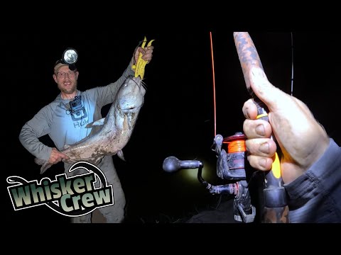 Post Spawn Non Stop Action (Bank Fishing)