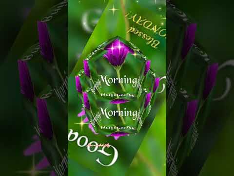 Good Morning #viral #goodmorning #goodmorningpost #morningblessings #monday #blessings #trending