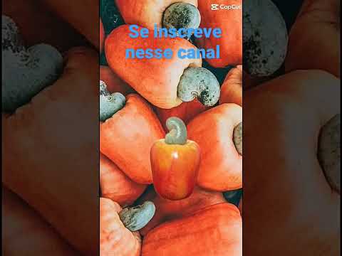 caju #frutas #caju #viral