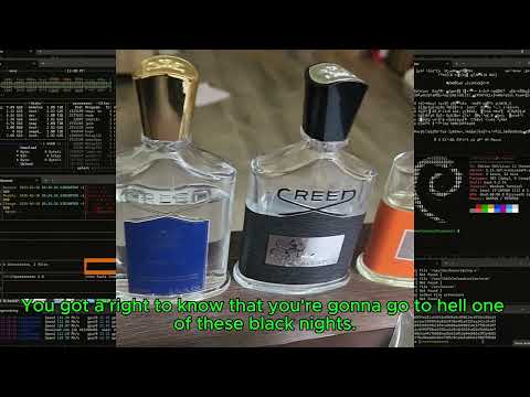 Ive Got Rights - Hank Williams Jr. - WSL Debian Networking Project