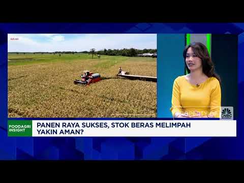 Rekor Serapan Beras Bulog, Yakin Stok & Harga Beras Aman?