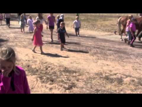 The Christmas Story Trailer