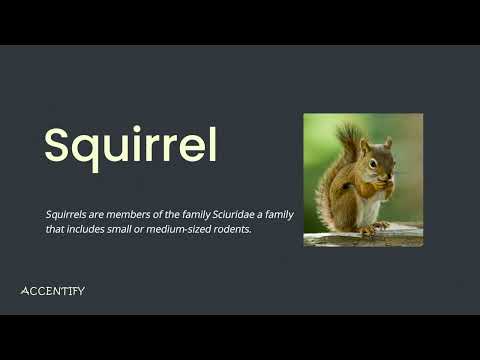 Squirrel (Pronunciation and Meaning)