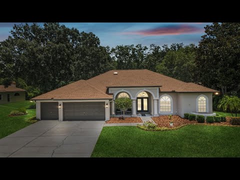 18803 Misty Shores Ln, Lutz, FL