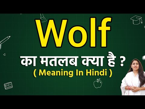 Wolf meaning in hindi | Wolf ka matlab kya hota hai | Word meaning