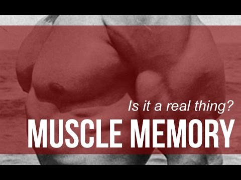 Muscle memory: is it a real thing?